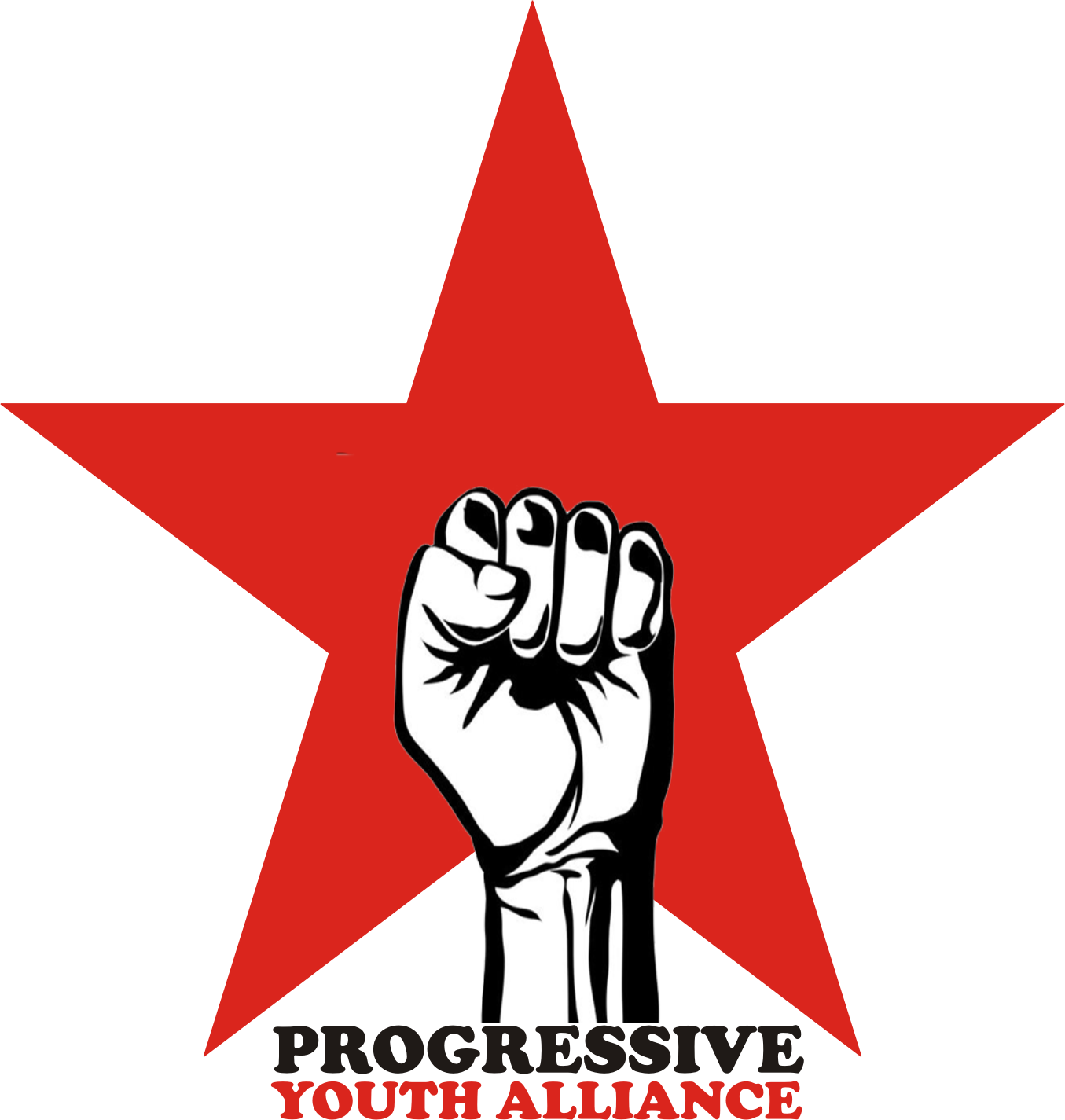 About - Progressive Youth Alliance